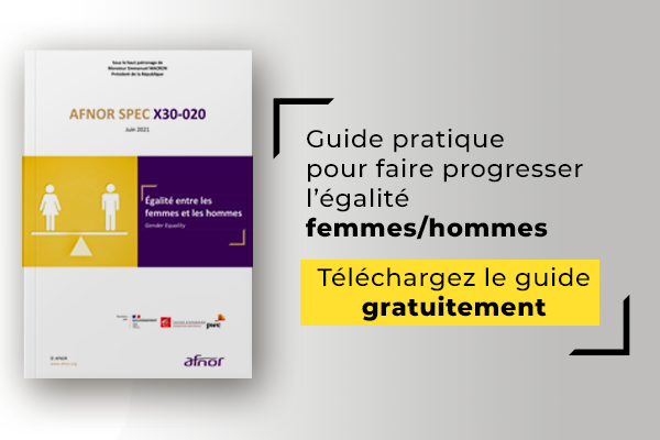 AFNOR Normalisation - Animateur de la normalisation en France